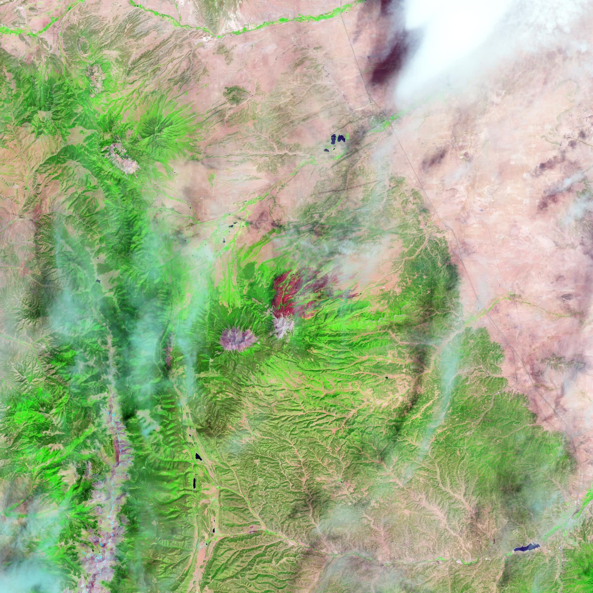Expanded AI Model with Global Data Enhances Earth Science Applications ...
