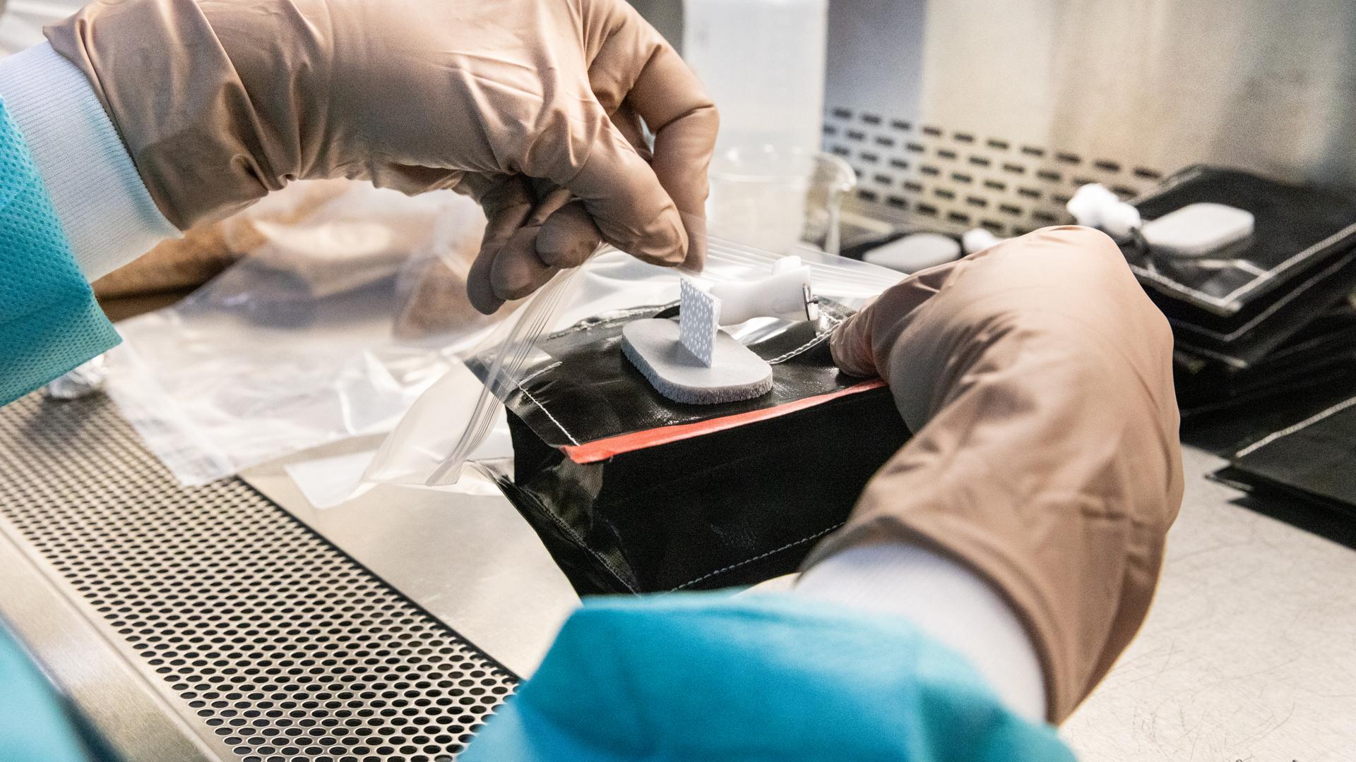 Articles, Explainers, Videos & Infographics - NASA Science