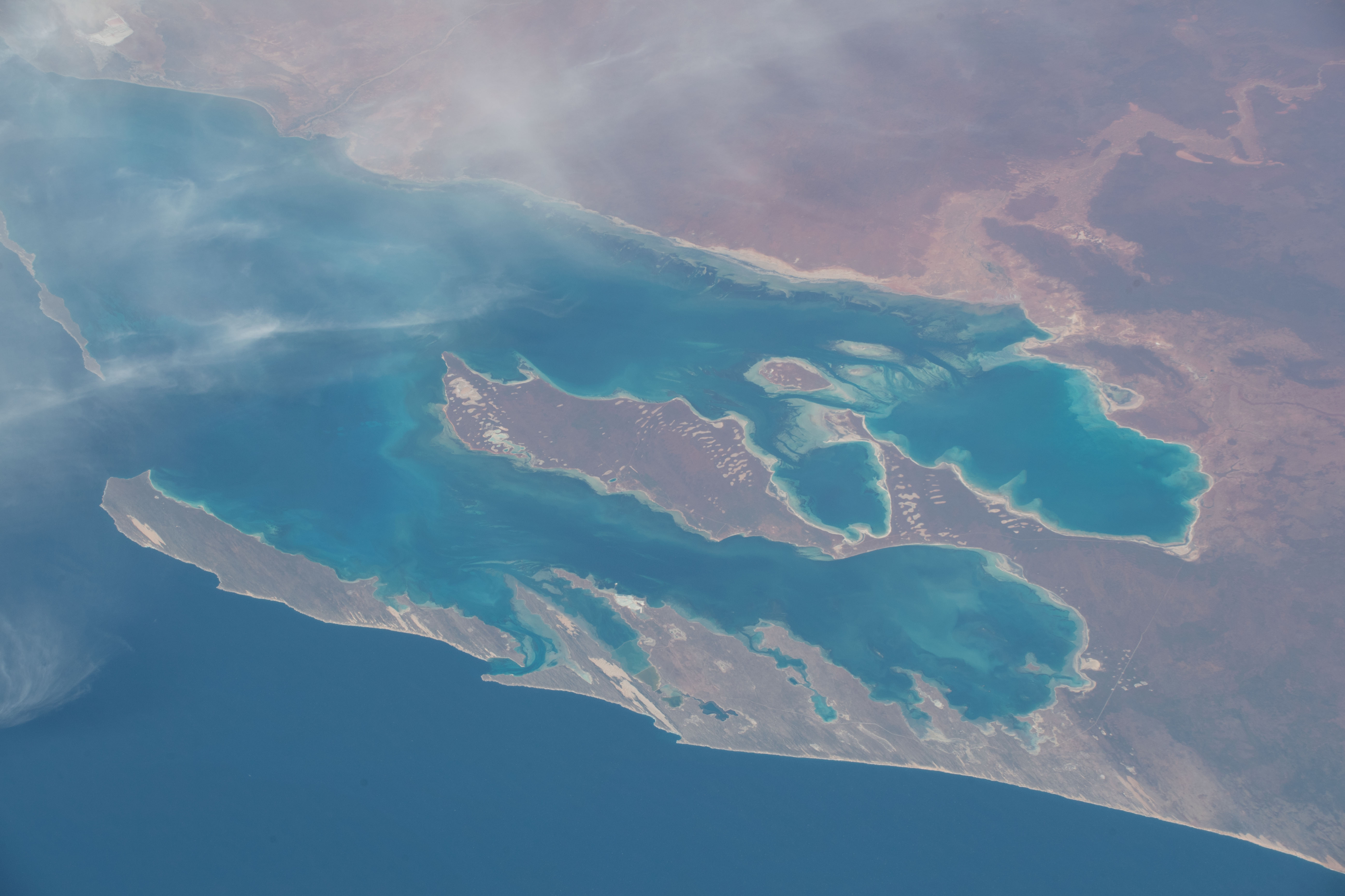 Shark Bay, Australia : r/EarthDisoriented